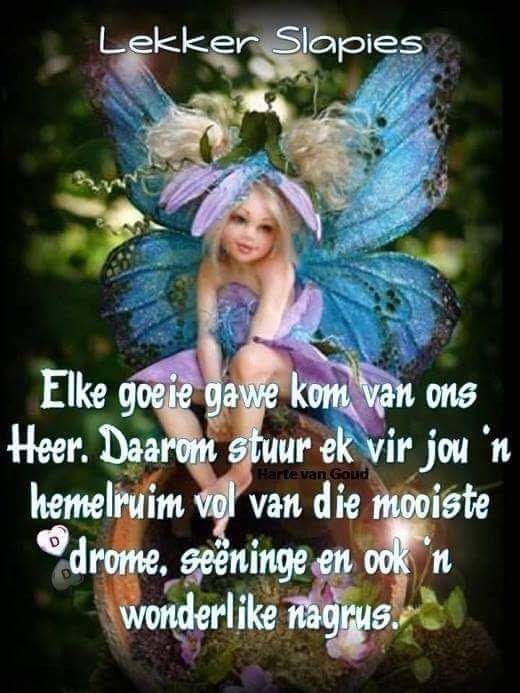 Lekker Slapies Quotes Lekker Slaap Sweet Dreams | TikTok