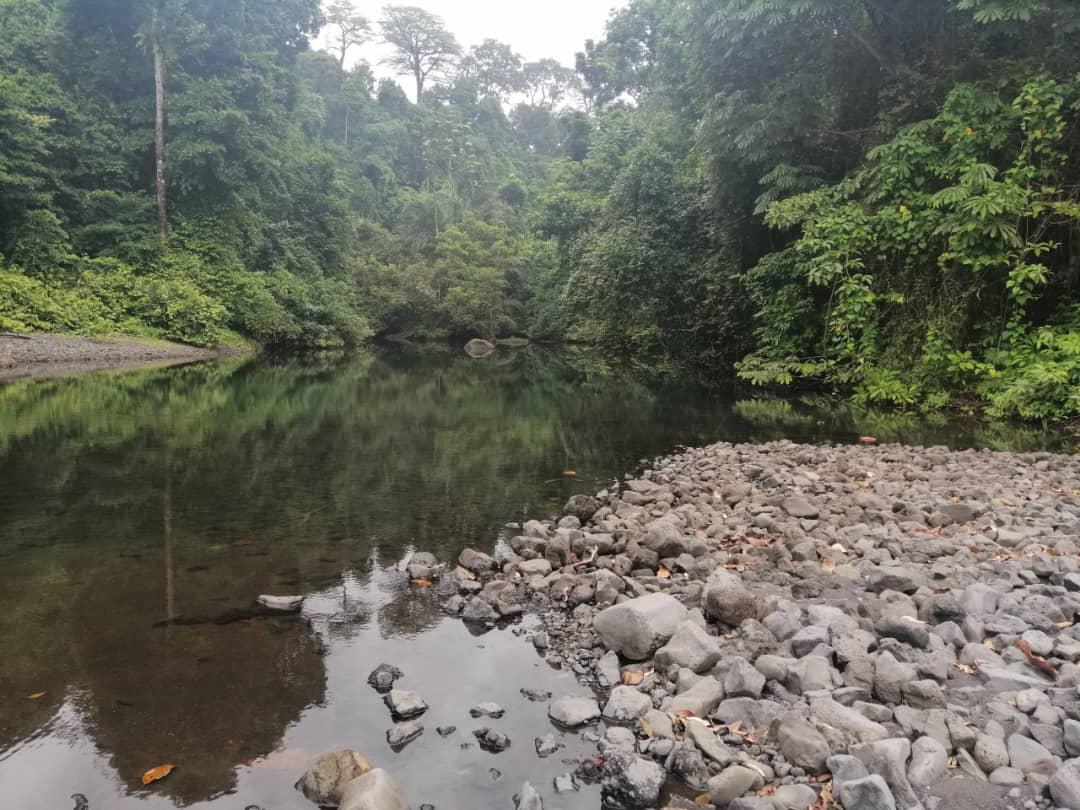 Mitoha Ondo'o Ayekaba on Twitter: "Ya he estado en el paraíso natural por excelencia: la reserva ...