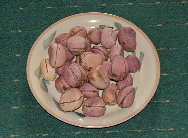 IGBO CUSTOM AND TRADITION. Oji...(omenala jikoru igbo).. The importance ...