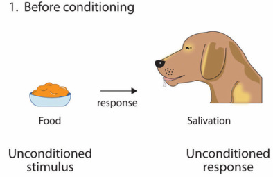 Conditioned Response In Psychology