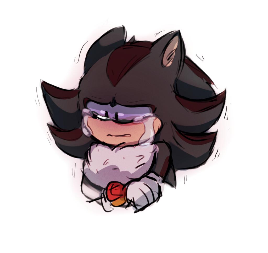 Shadow The Hedgehog Crying