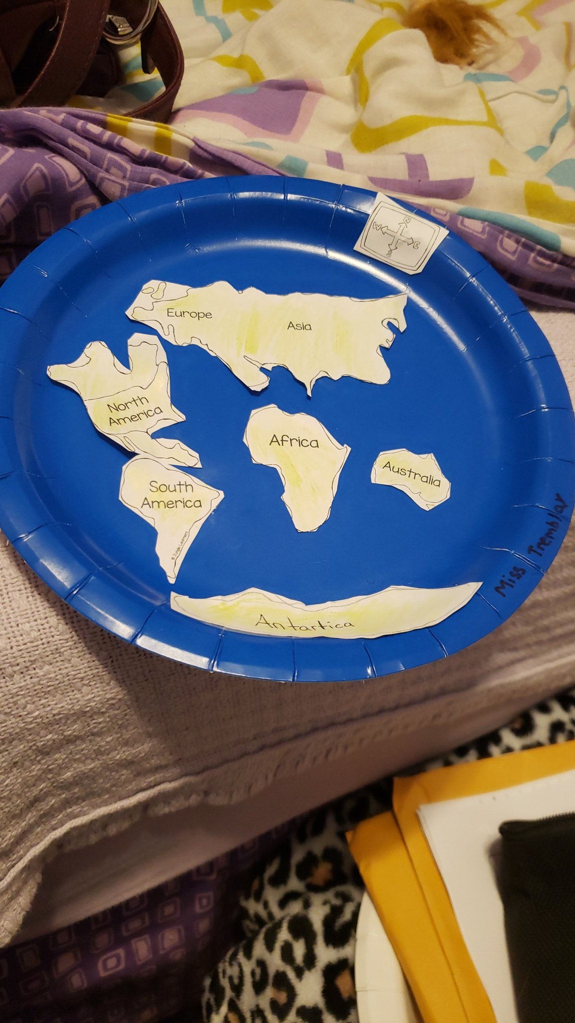 Social Studies Project Plate