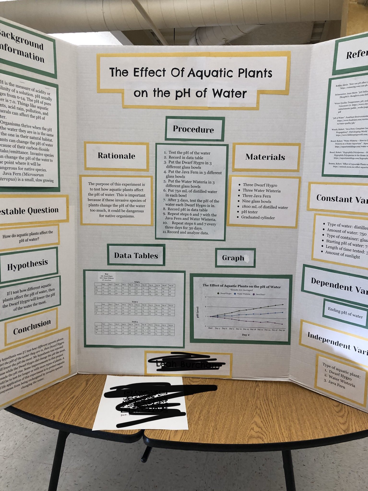 Science Fair Projects Poster Board Layout