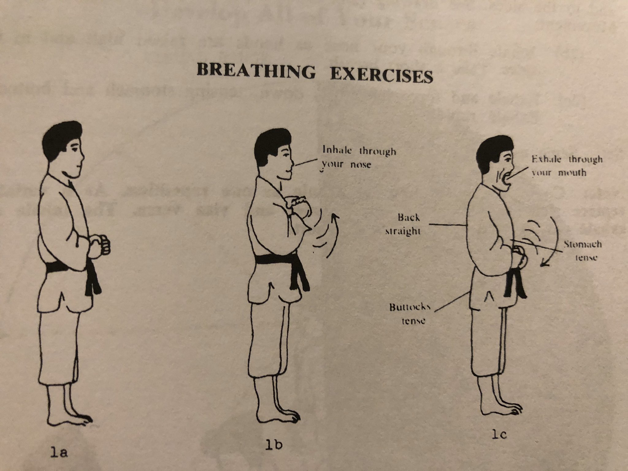 Kenpo Karate Wallpaper