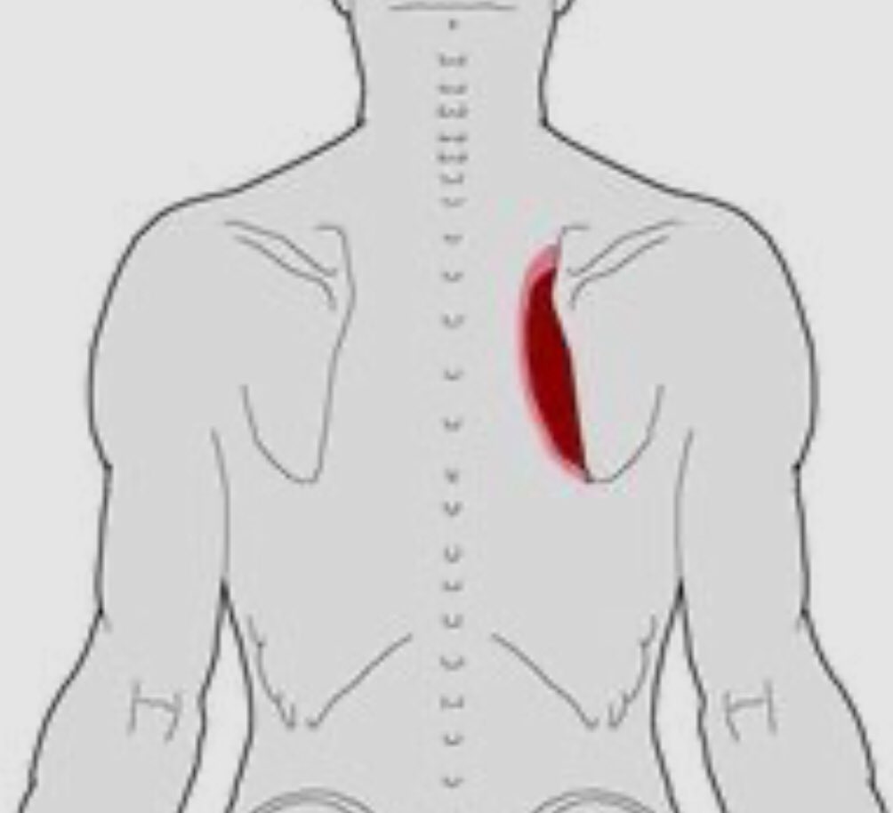 Shoulder Muscle Strain