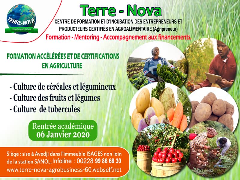 Dammipi BONSA (@dammipi) | Twitter