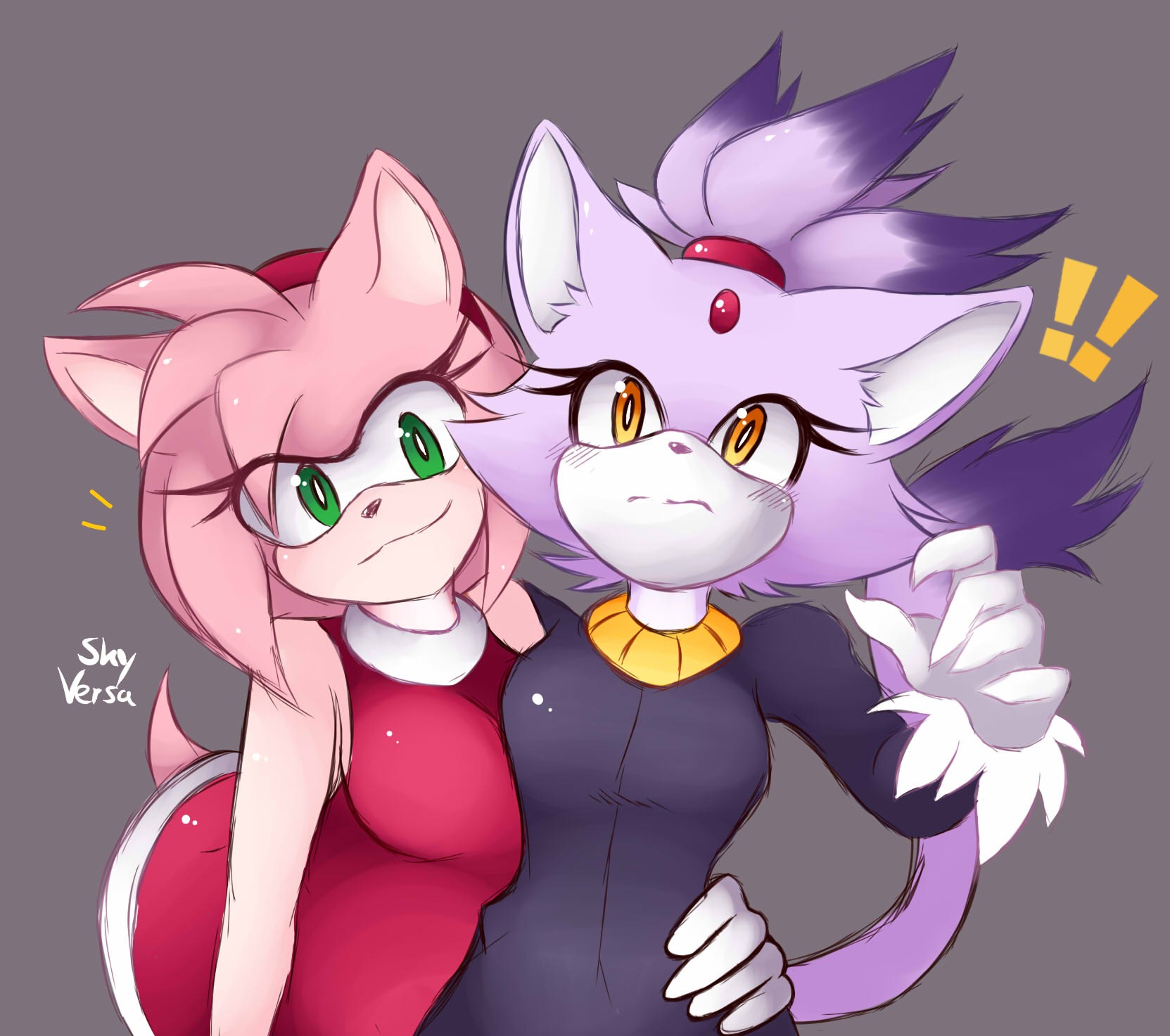 Sonic And Blaze In Love