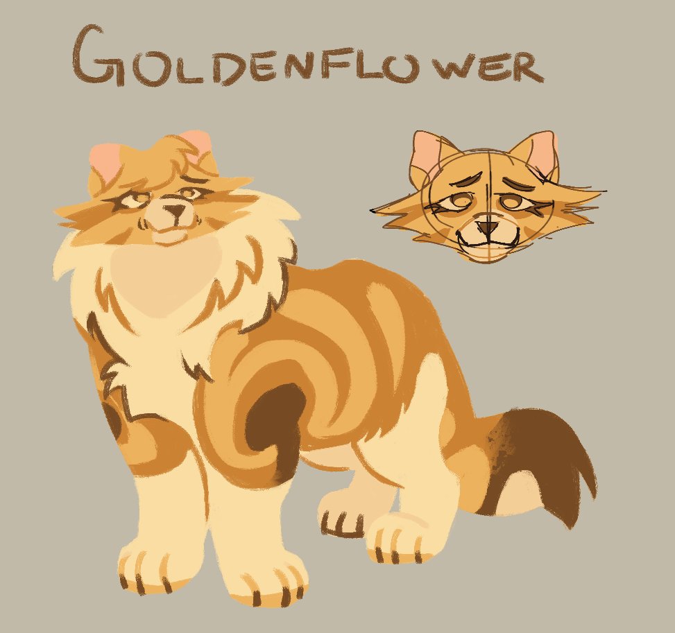Warrior Cats Golden Flower Slugs Genetically Accurate Cats