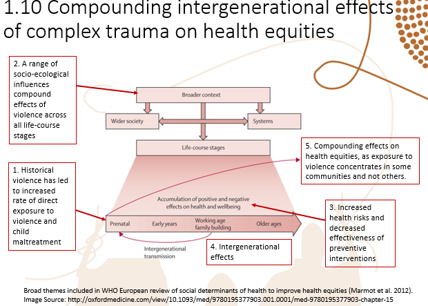 FINAL REPORT of the Training-Workshop on Indigenous Peoples