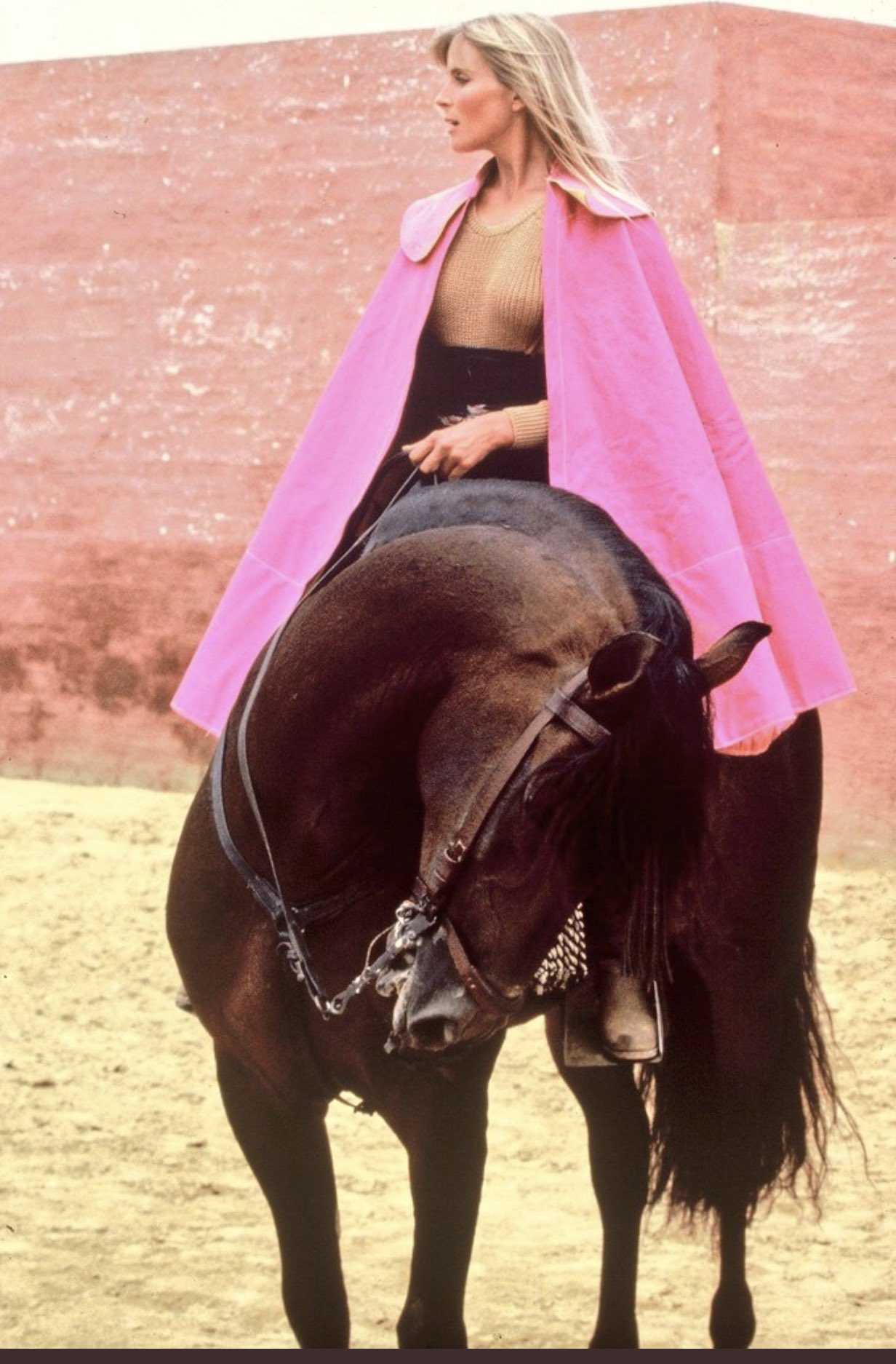 Bo Derek Horse