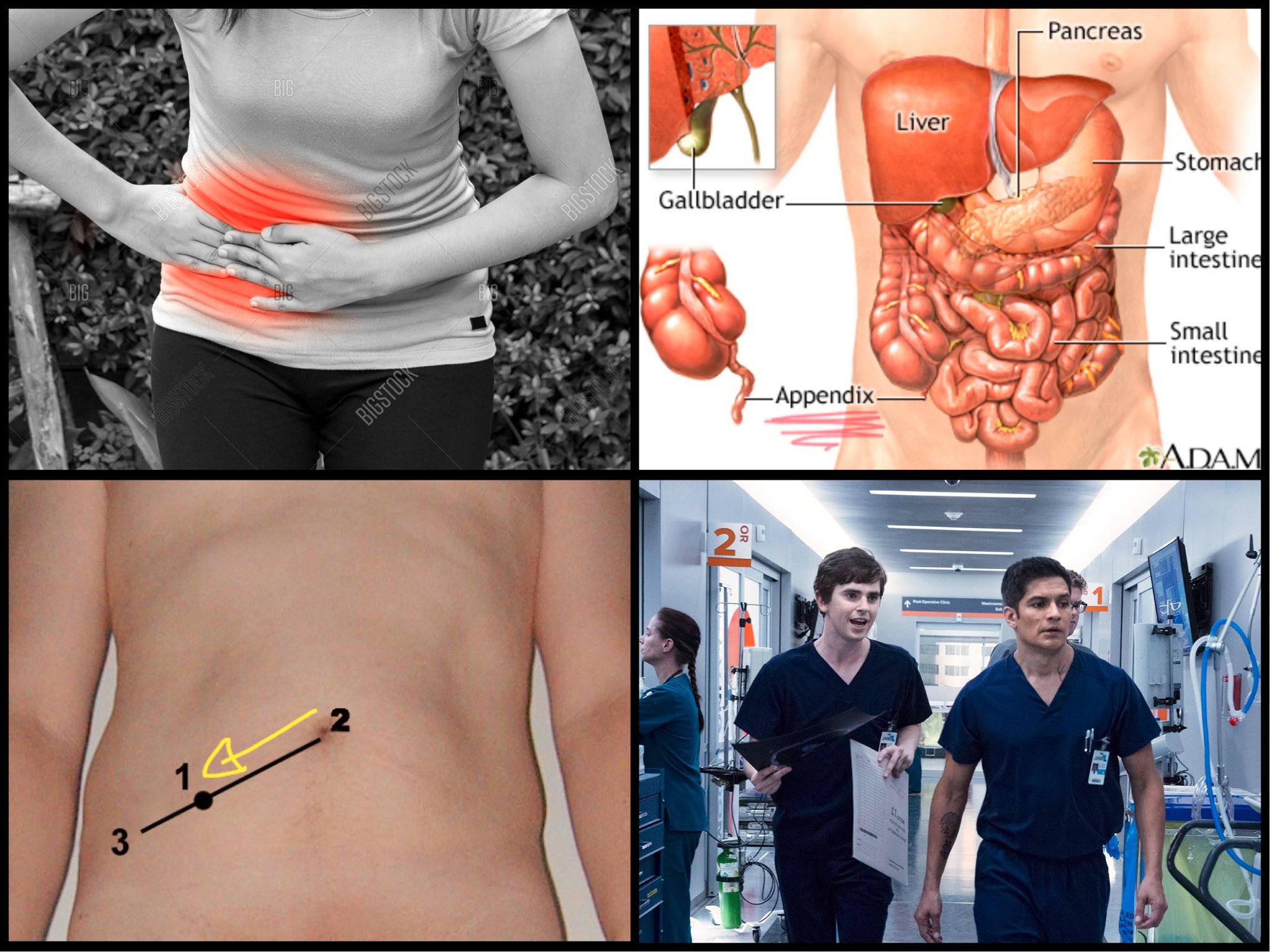 Gallbladder And Appendix Location