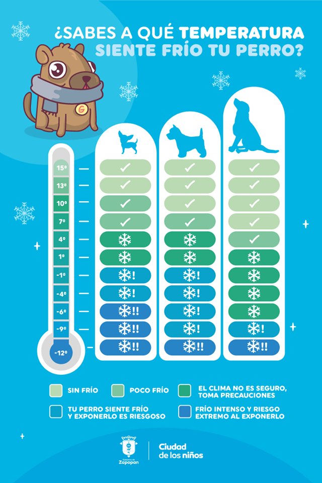 Un Perro Siente Frio