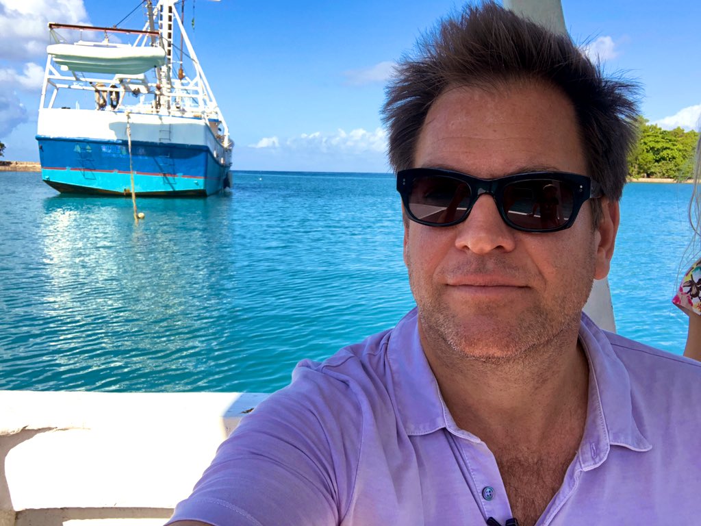 Michael Weatherly - Starporträt, News, Bilder | GALA.de