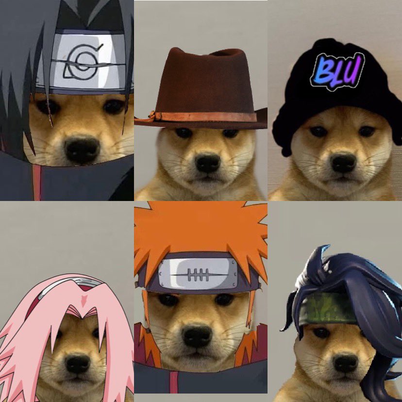 Doge Anime PFP