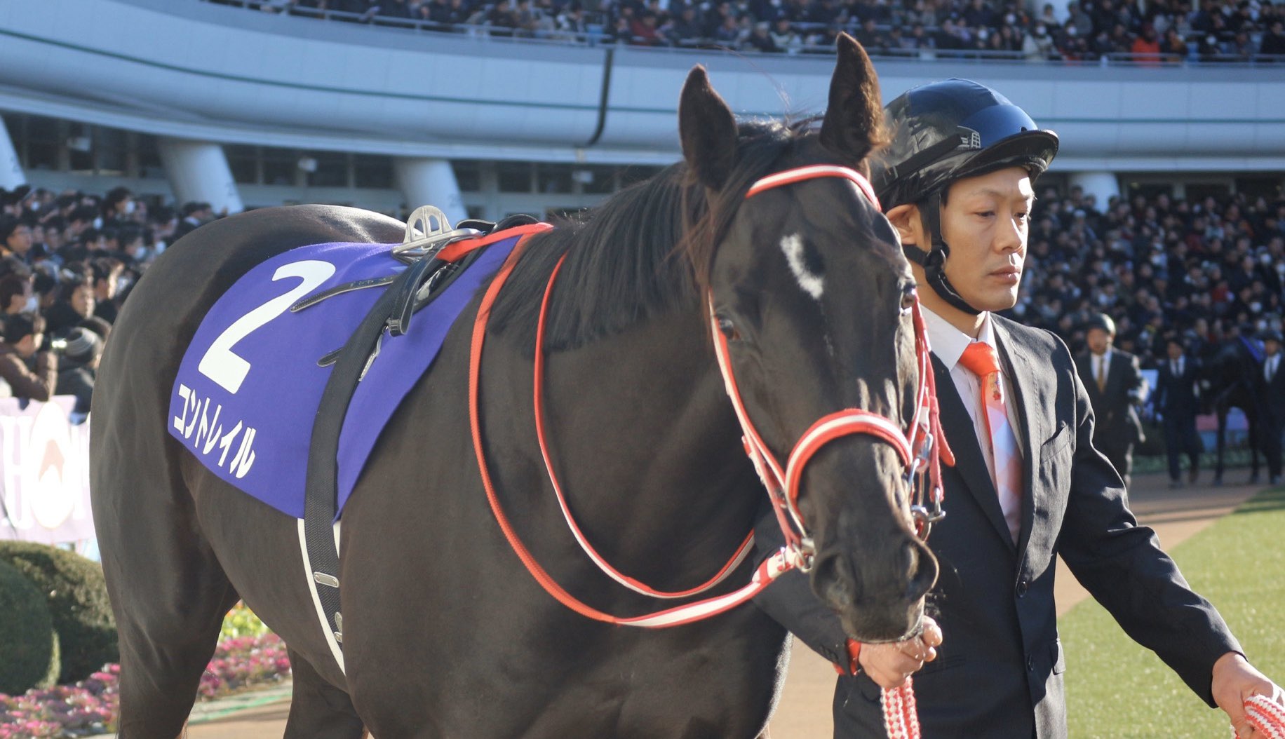 JRA FUN on Twitter: "中山11Rは、ホープフルステークス(GI)！ 前走の東京スポーツ杯2歳ステークス(GIII)では、2歳コースレコードを「1.4秒」更新した #コント ...