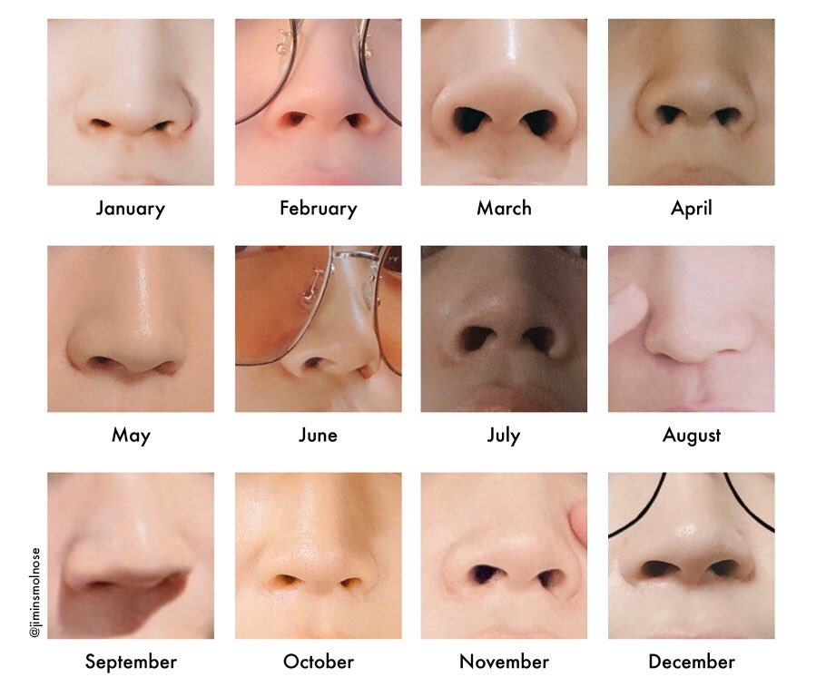 Nose Shape Chart
