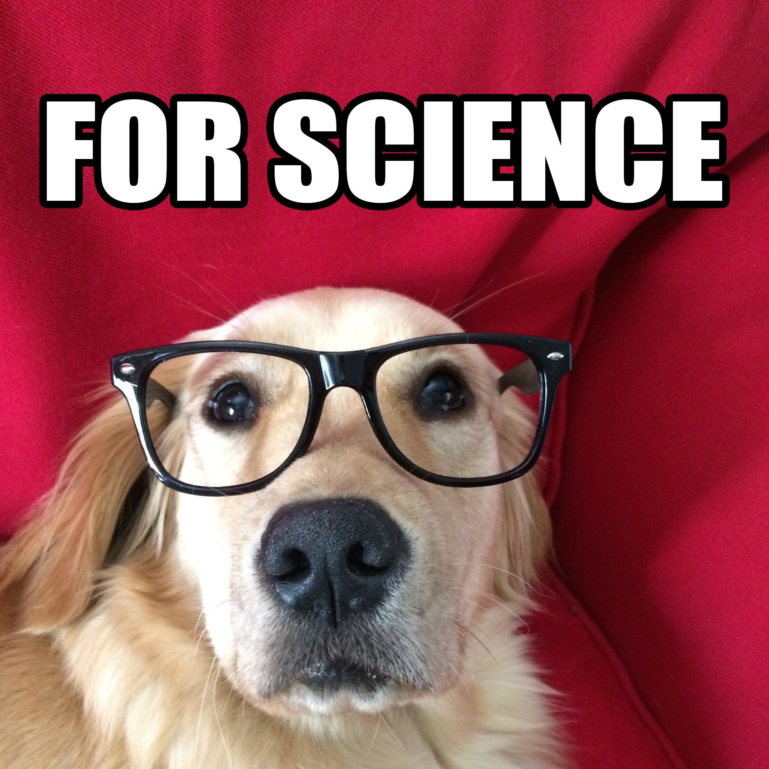 Science Dog Meme