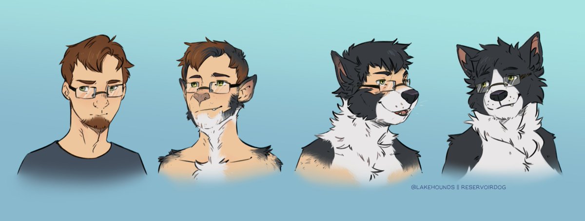 Dog Transformation Sequence