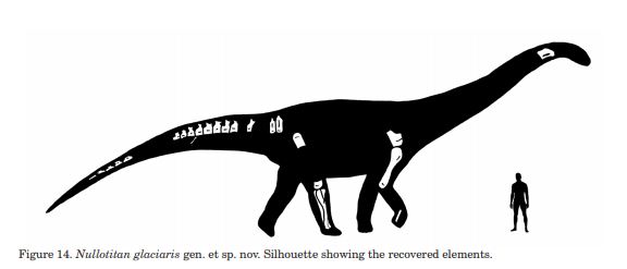 Darren Naish On Twitter Then Theres Nullotitan Glacialis From