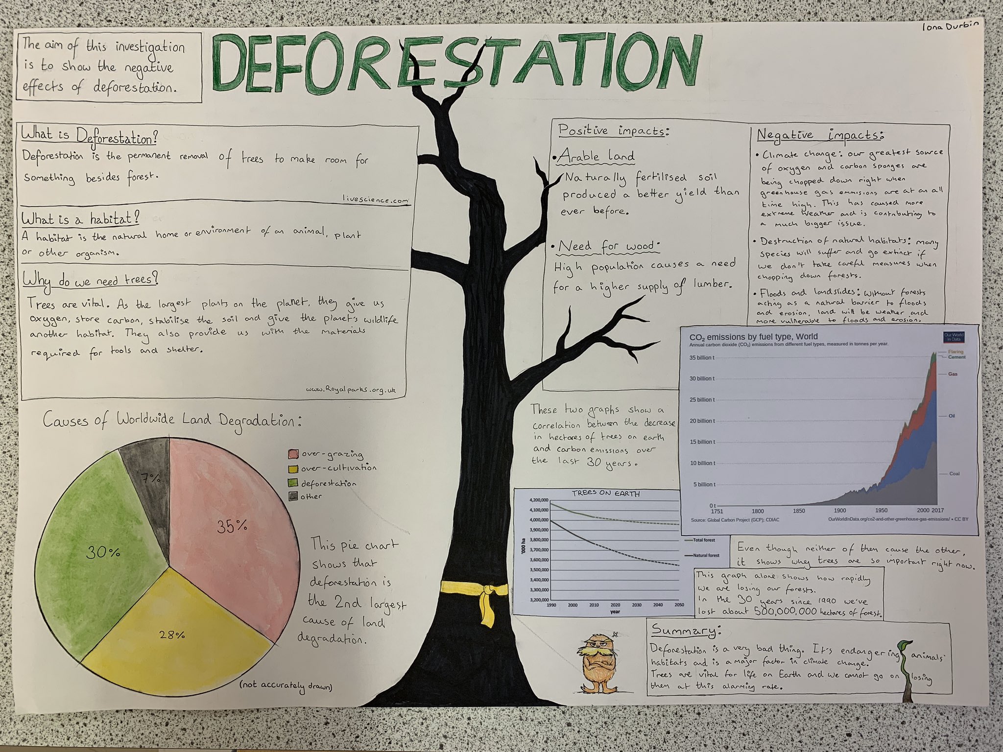 Deforestation Poster Presentation