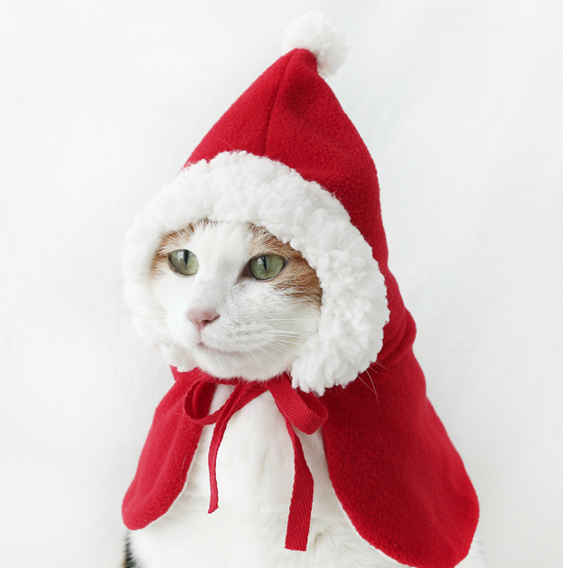 1300k l 천삼백케이 on Twitter: "집사님들의 12월 쇼핑 리스트 너무 귀여워요오..😳 ️ 할인좌표 https://t.co/p3VppIOEvG #크리스마스 ...