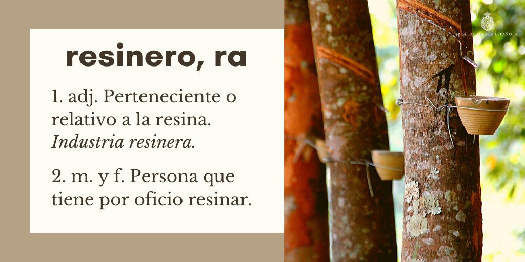 precaución | Definición | Diccionario de la lengua española | RAE - ASALE