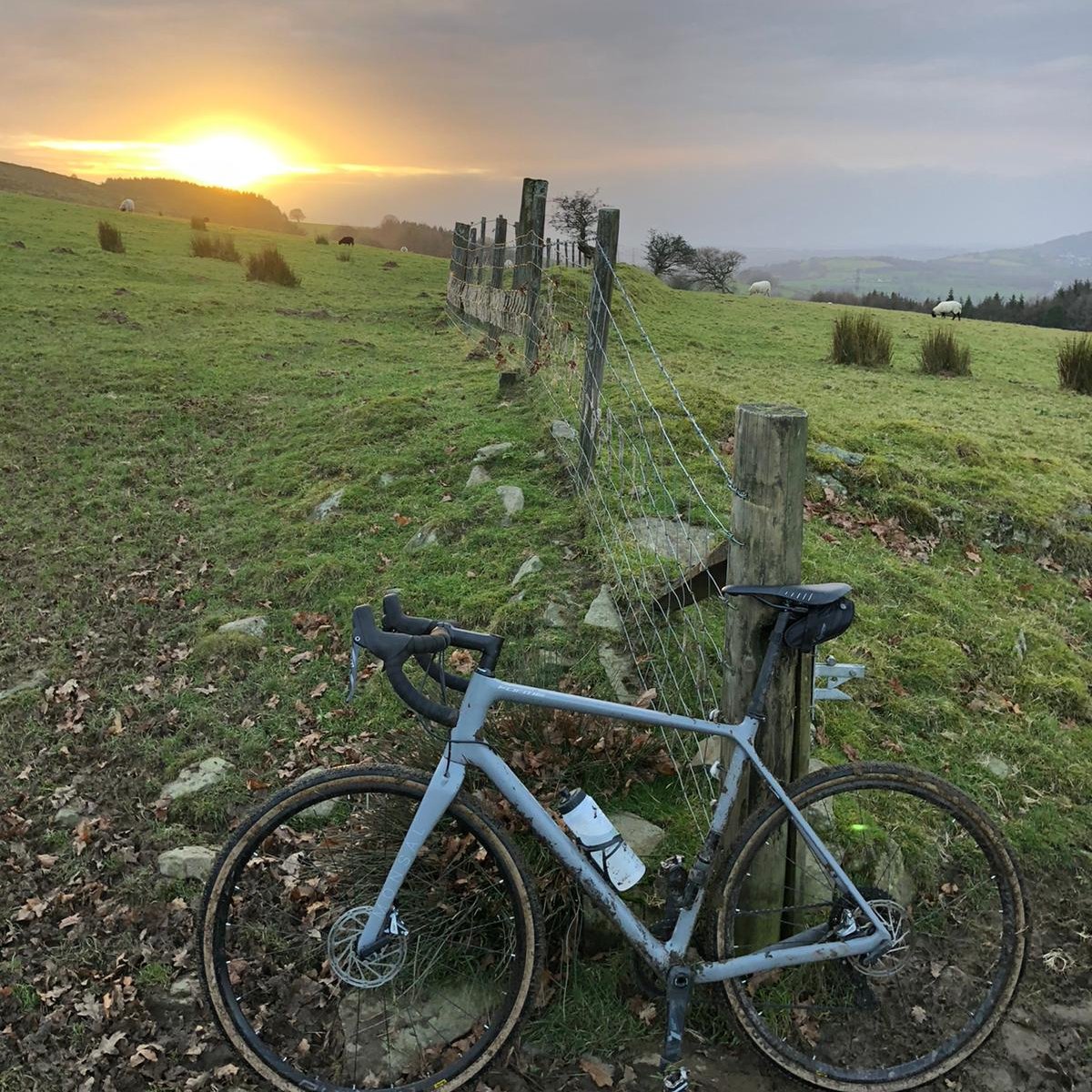 plan2ride on Twitter: "We would like to wish all our customers a very Merry Christmas and Happy ...