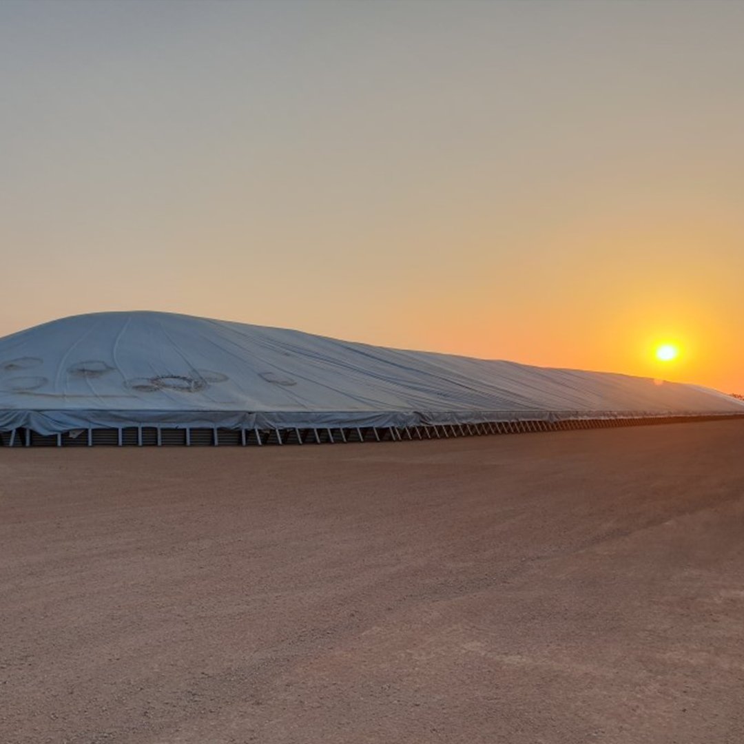 T-Ports | Tranship + Commodities + Global