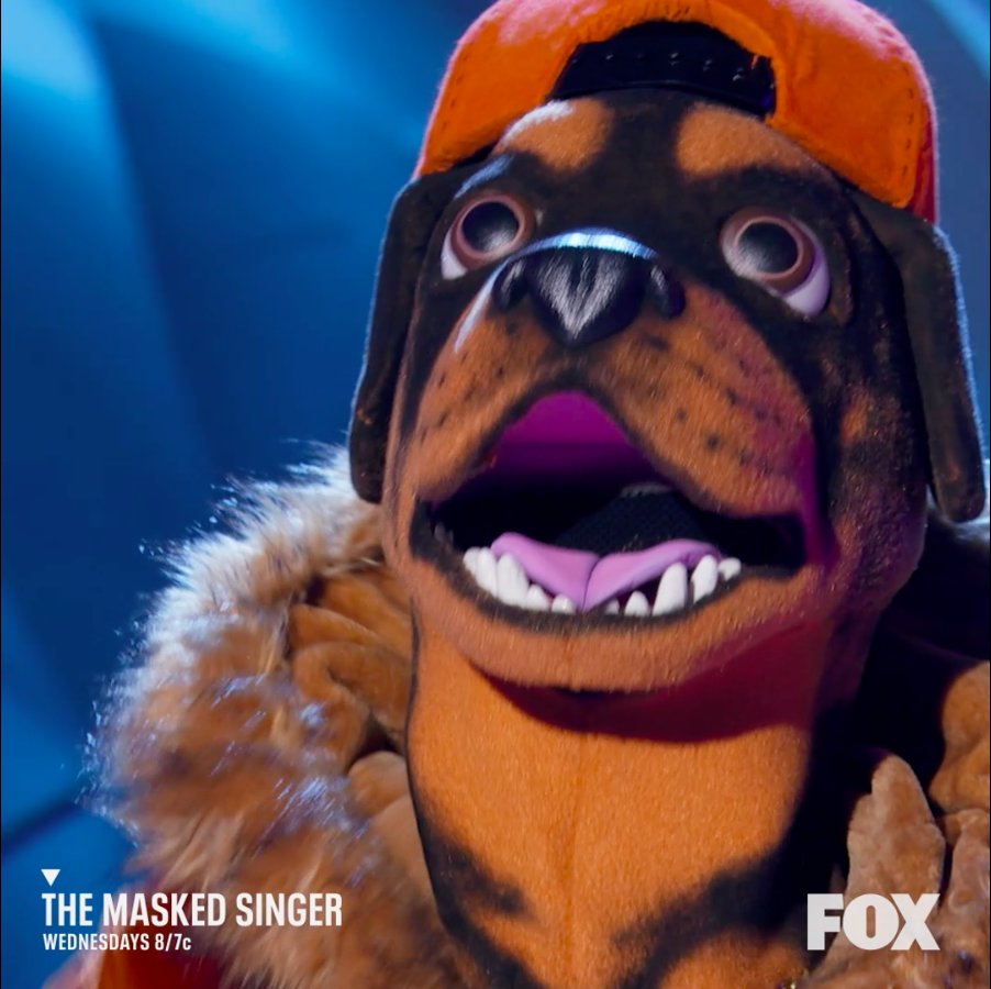 What Singer Was Bit By A Rottweiler