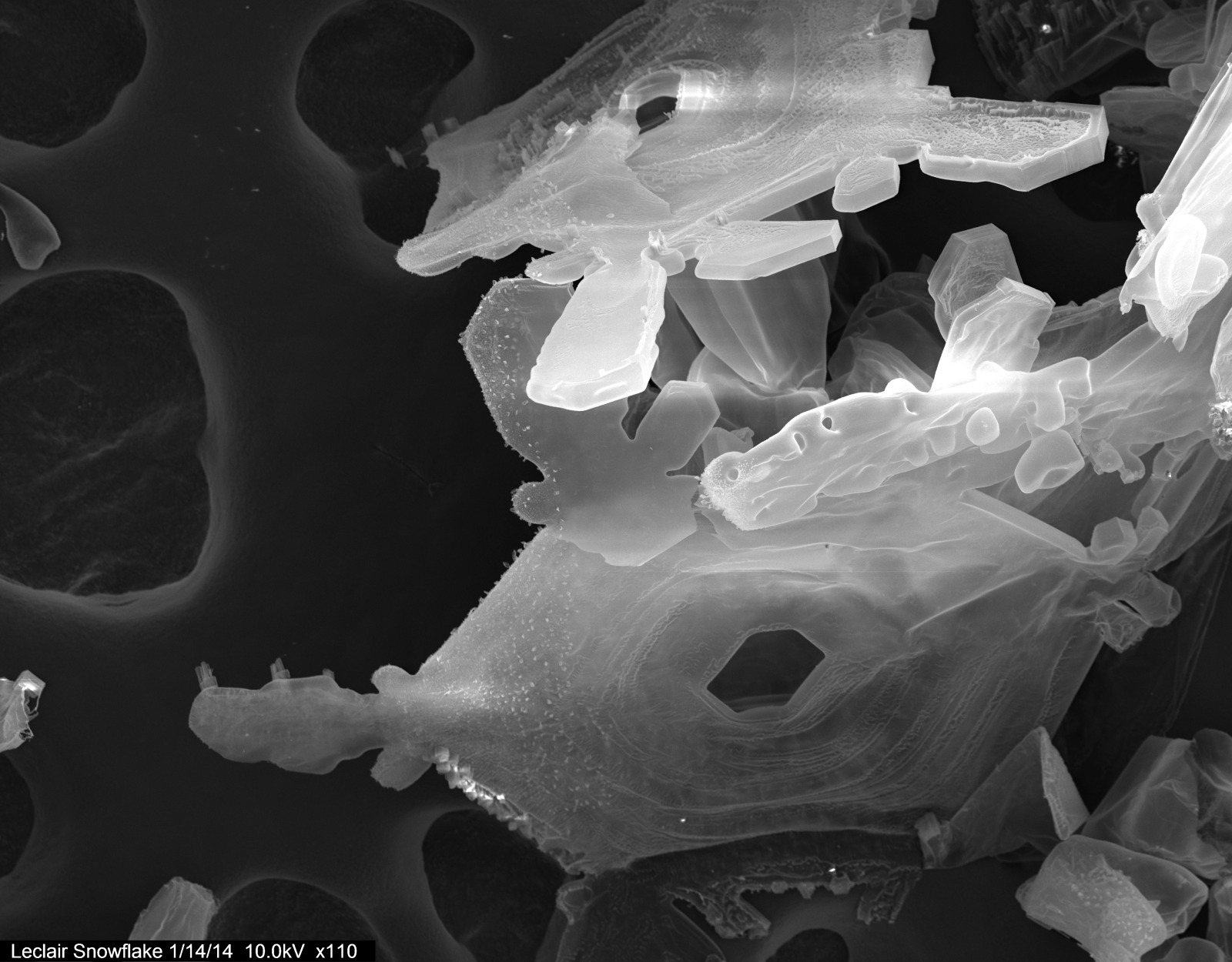 Snowflakes Under Electron Microscope