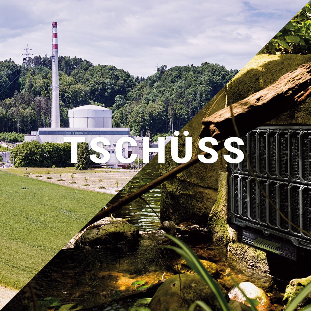 Webhosting, Domains, Rootserver | hosttech Österreich