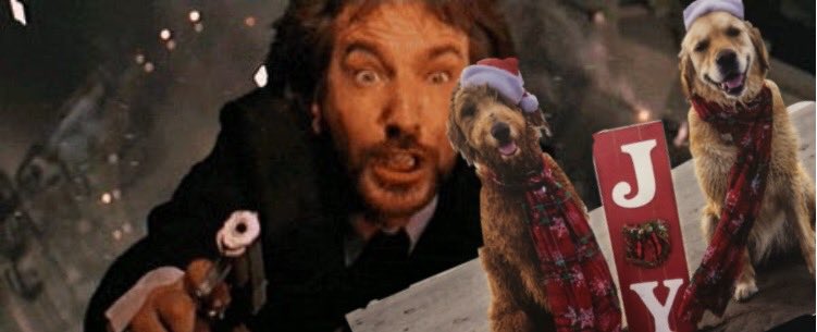 Stephanie Buffington's Instagram, Twitter & Facebook on IDCrawl