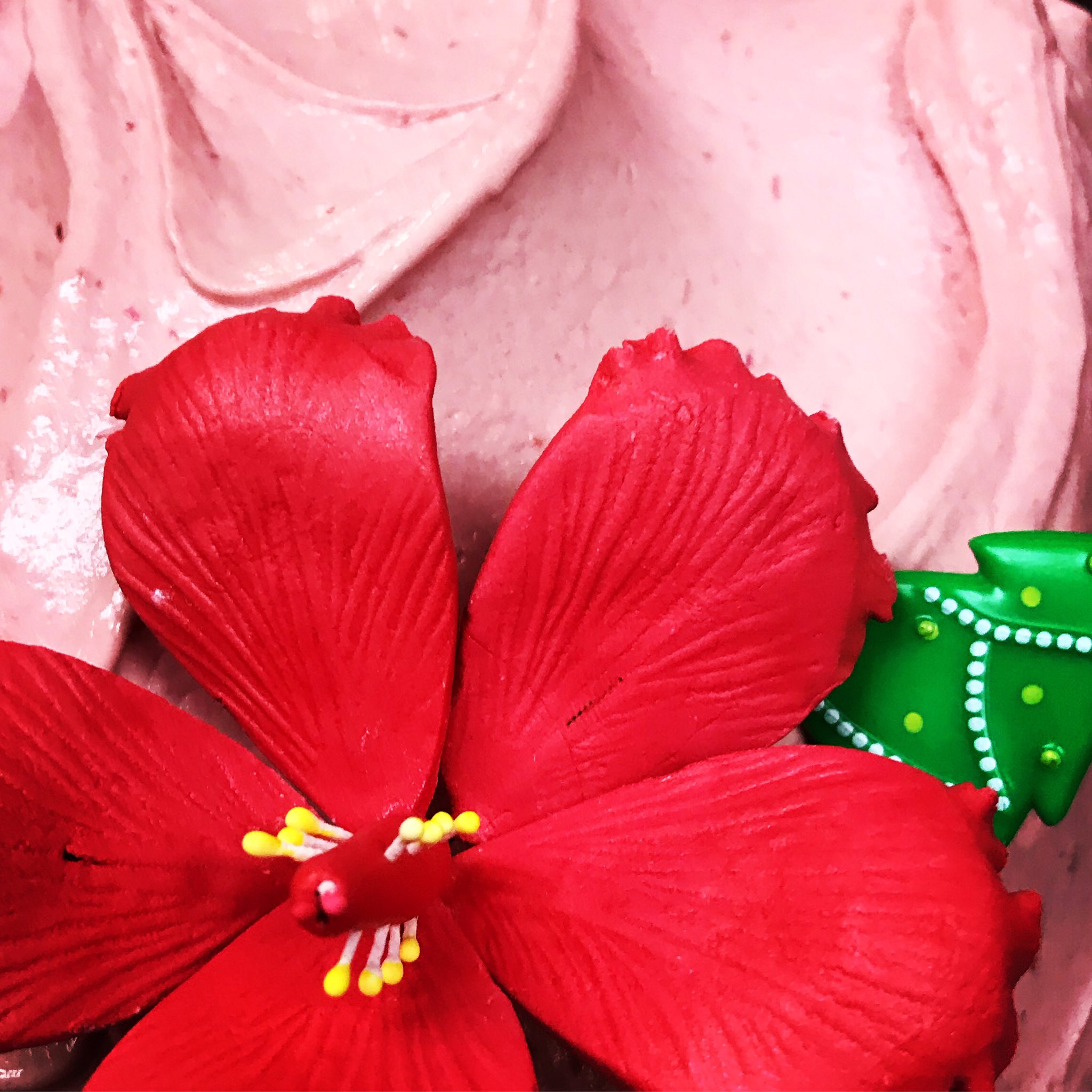 Hawaiian Santa Dolphins