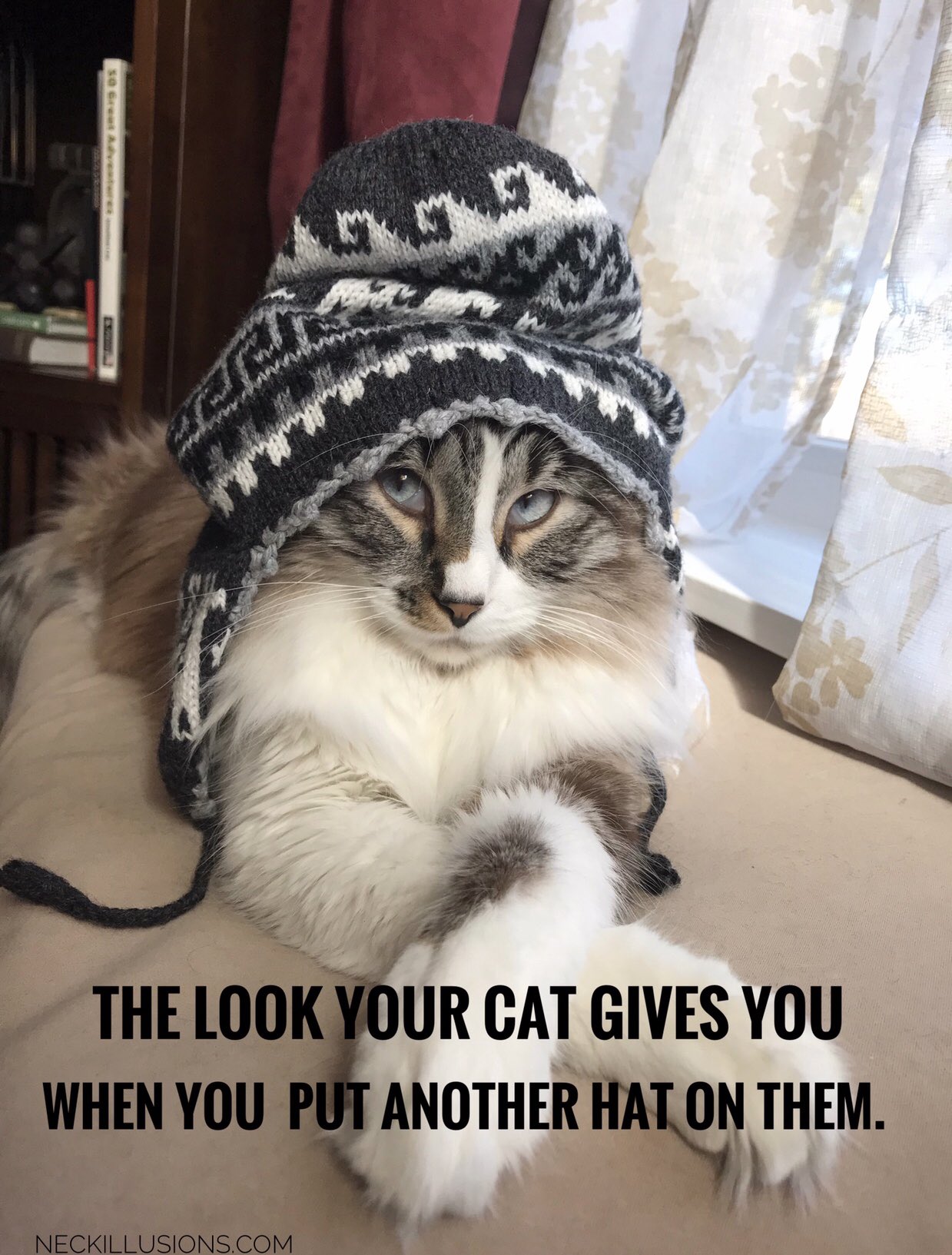 Wookie Cat
