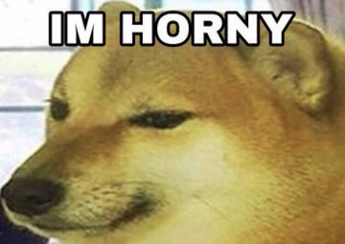 lex updog @niceupdog