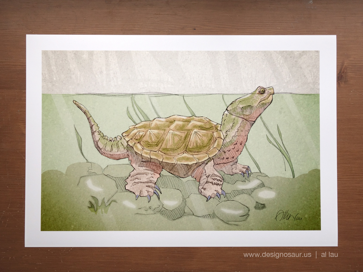 Snapping Turtle Drawing