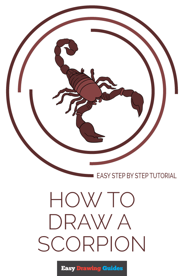 Easy Scorpion Drawings