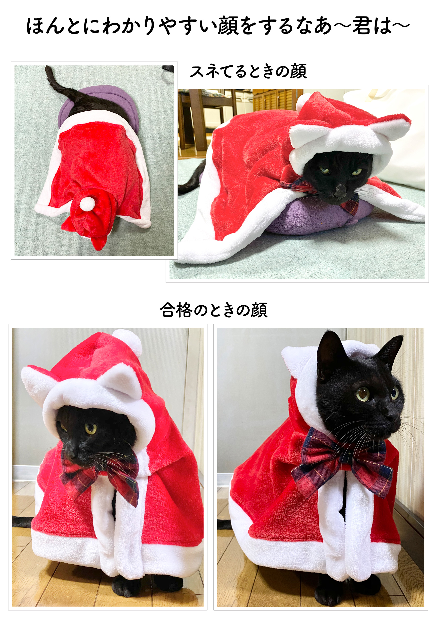 AKR on Twitter: "クリスマスコスチュームかわいくてルンルンな飼い主と、よくわからんが暖かい服をGETしてルンルンなねこの絵日記です #ろんの絵日記 https://t.co ...