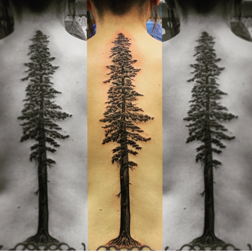 Redwood Tree Tattoo Ribs