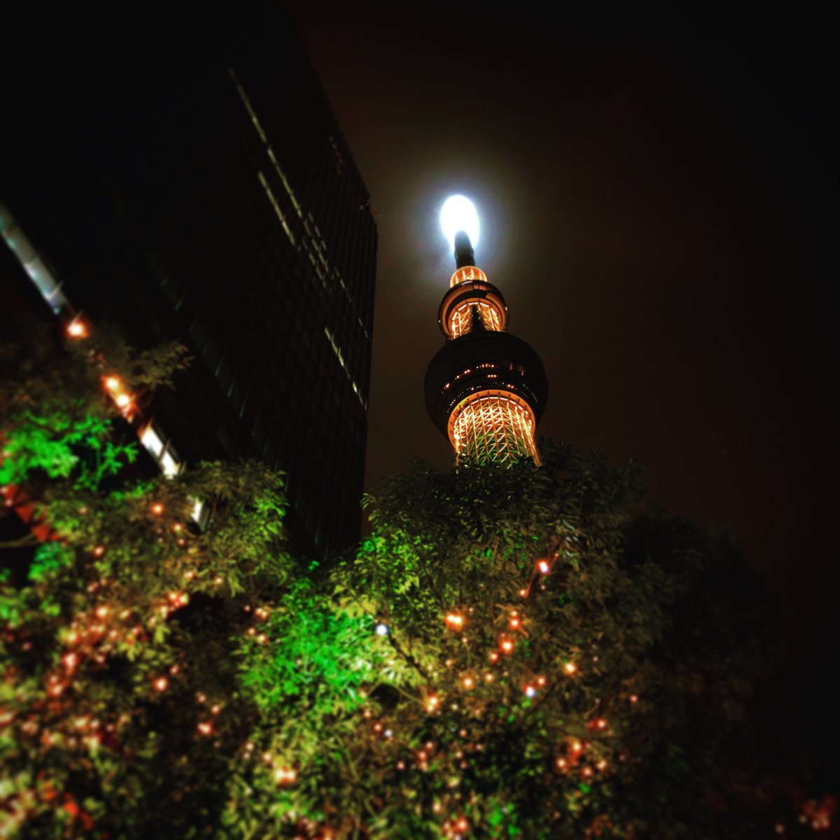 モヨリ(@Moyori) - Twilog