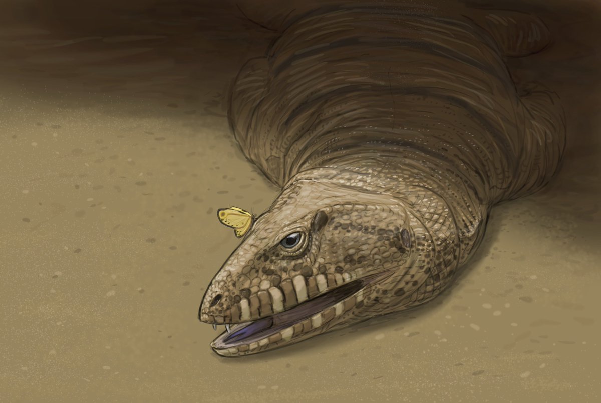 Toy/model of Tianyusaurus Zhengi? : r/Paleontology