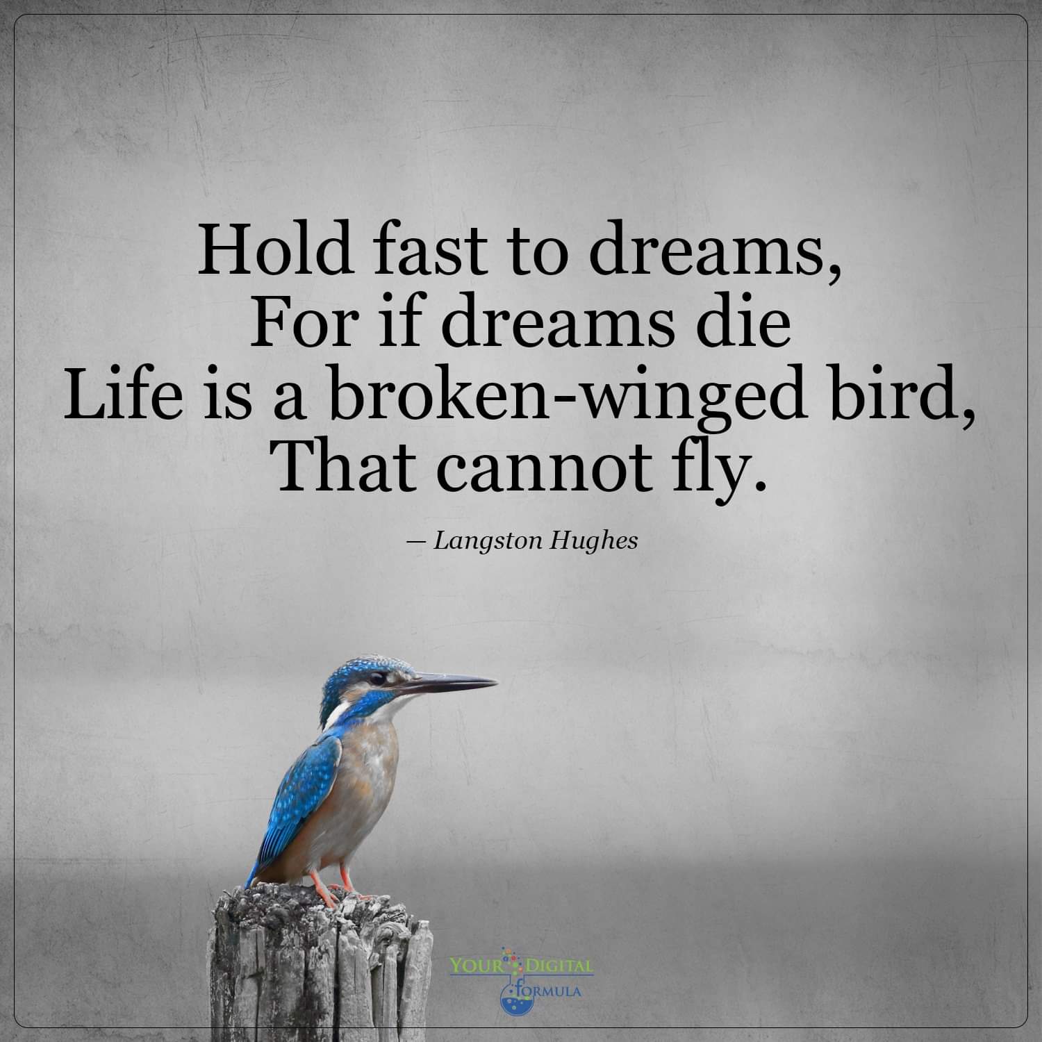 Langston Hughes Quotes Hold Fast To Dreams