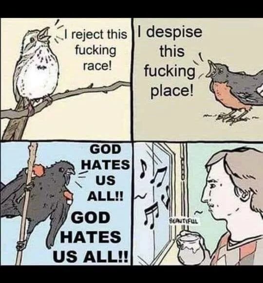 Bird Chirping Memes Funny Bird Sounds 2025 | Www.edv.no