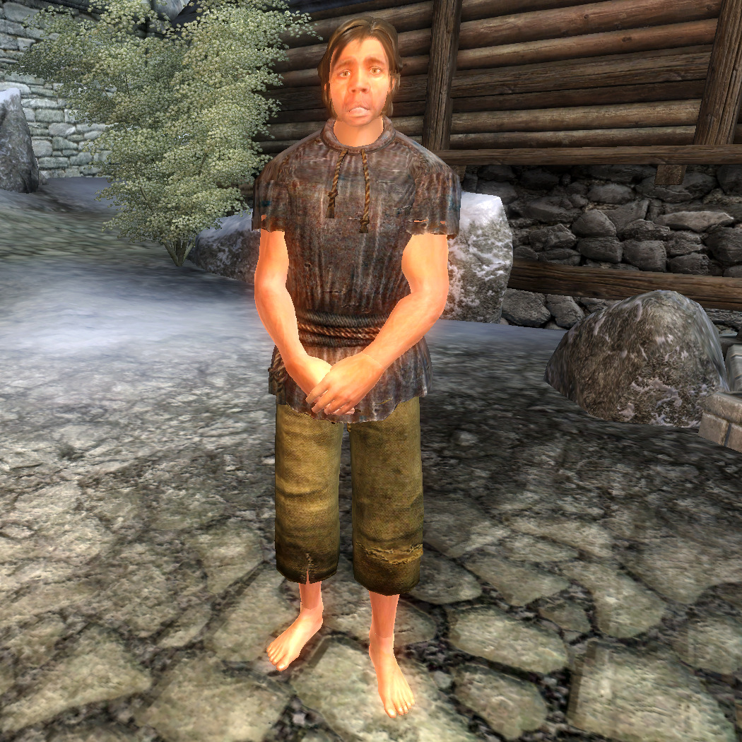 Skyrim Begger