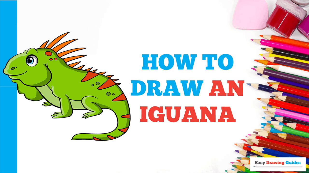 Iguana Drawing For Kids