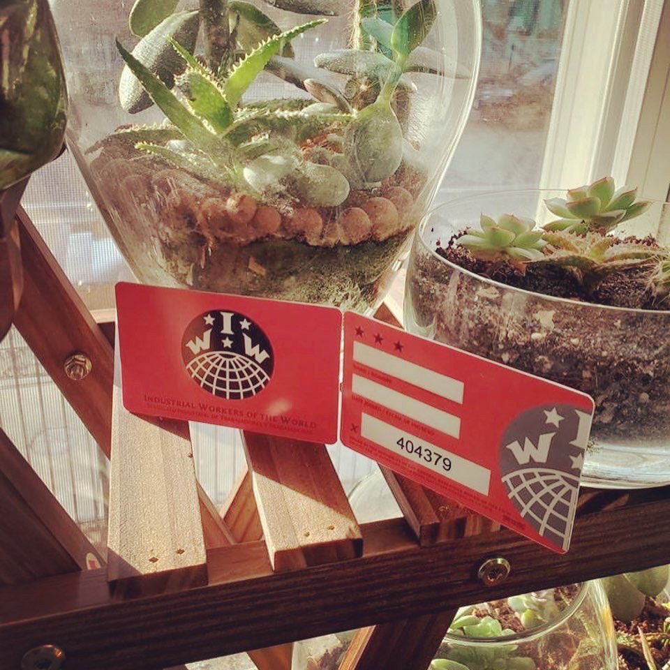 Industrial Workers Of The World Membership Card