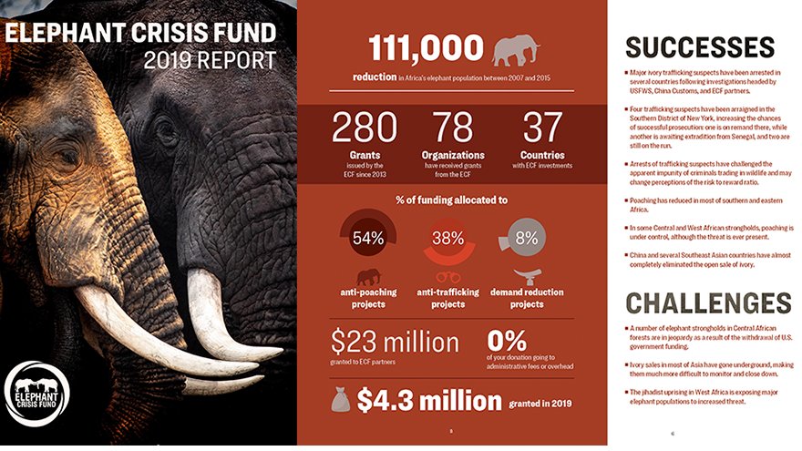 Save the Elephants on Twitter: "Protecting elephants successfully ...