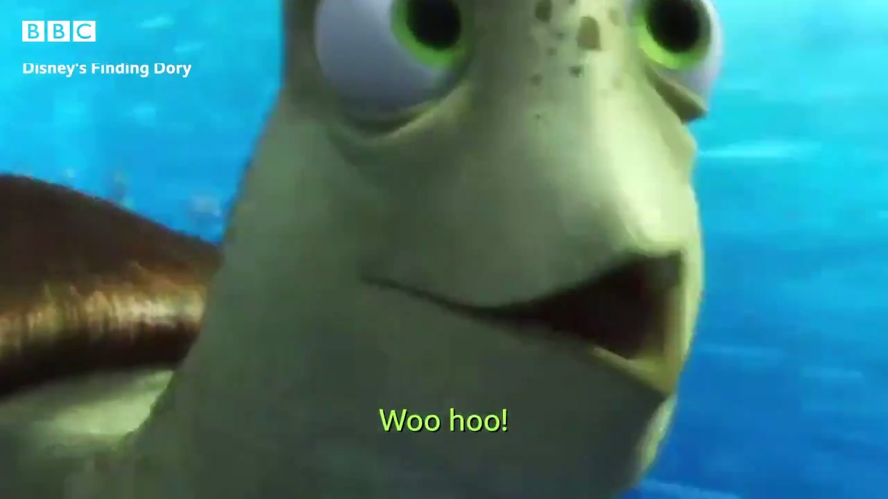 Crush Finding Nemo Righteous