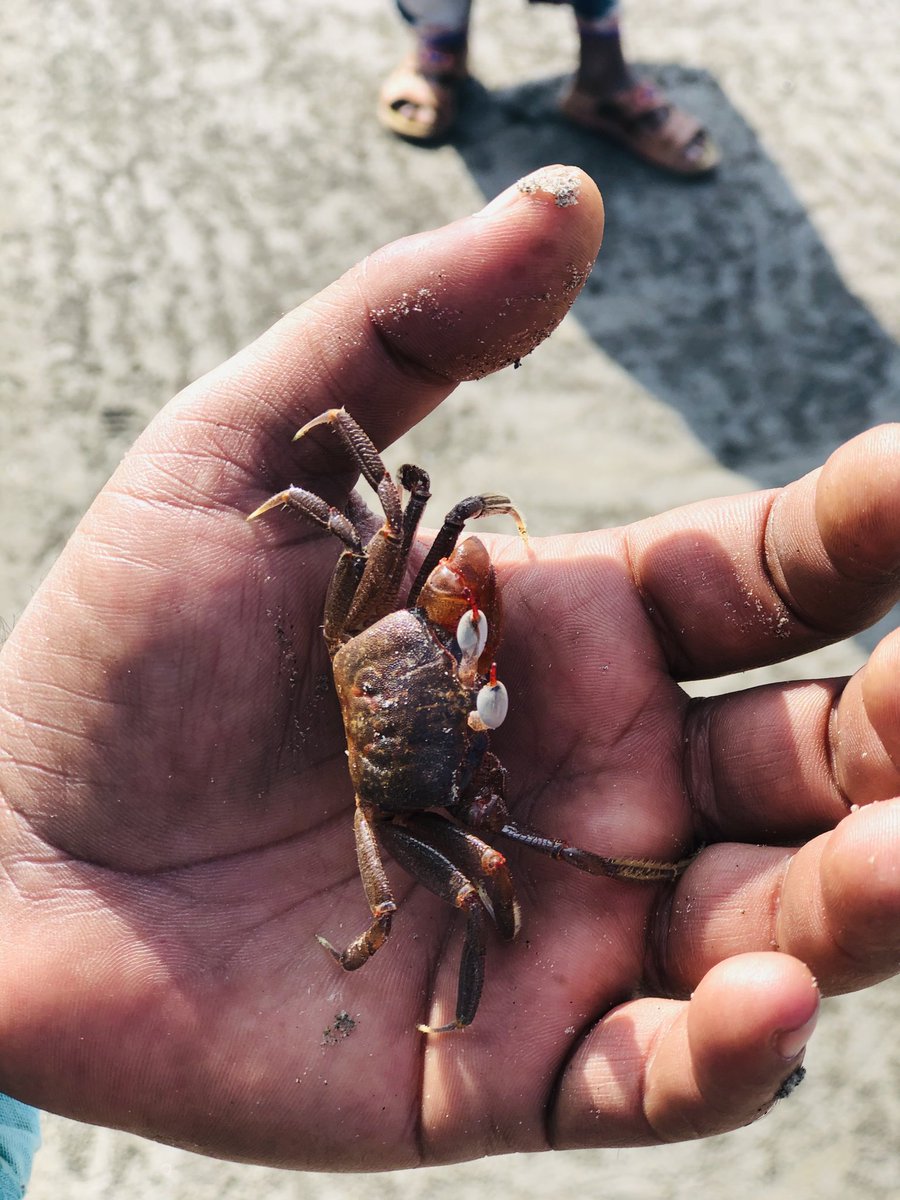 Mohammad Ali Rumon (@mohammad_rumon) | Twitter