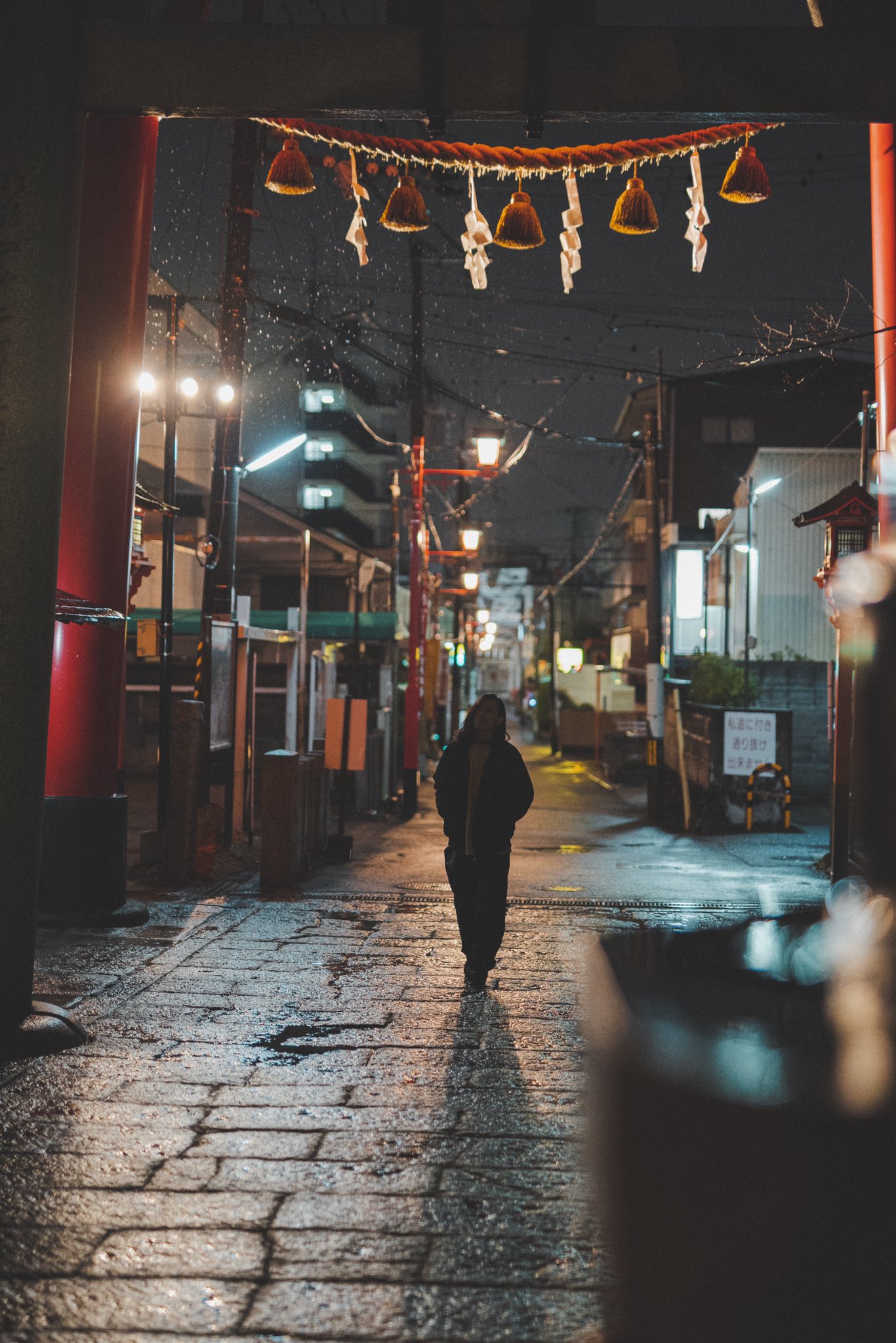 Zenro on Twitter: "🎄⛩Happy Holidays⛩🎄 photo : Shoya Hashimoto…
